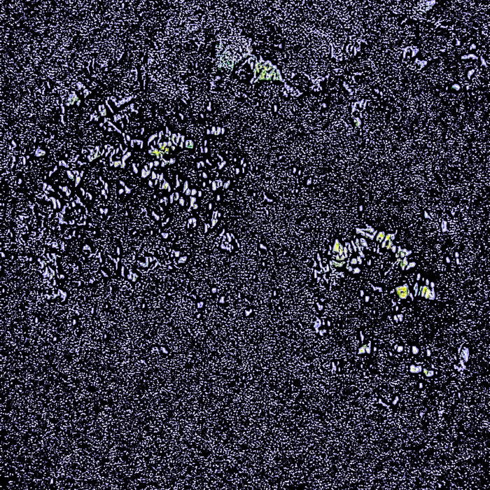 Redefining Definition | Woods Mattress | Outsider Industries