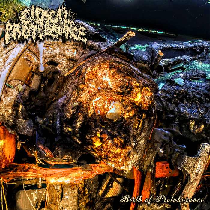 Birth of Protuberance | Cloacal Protuberance