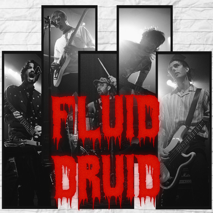 Nobody Asked For This(A Live Album) | Fluid Druid