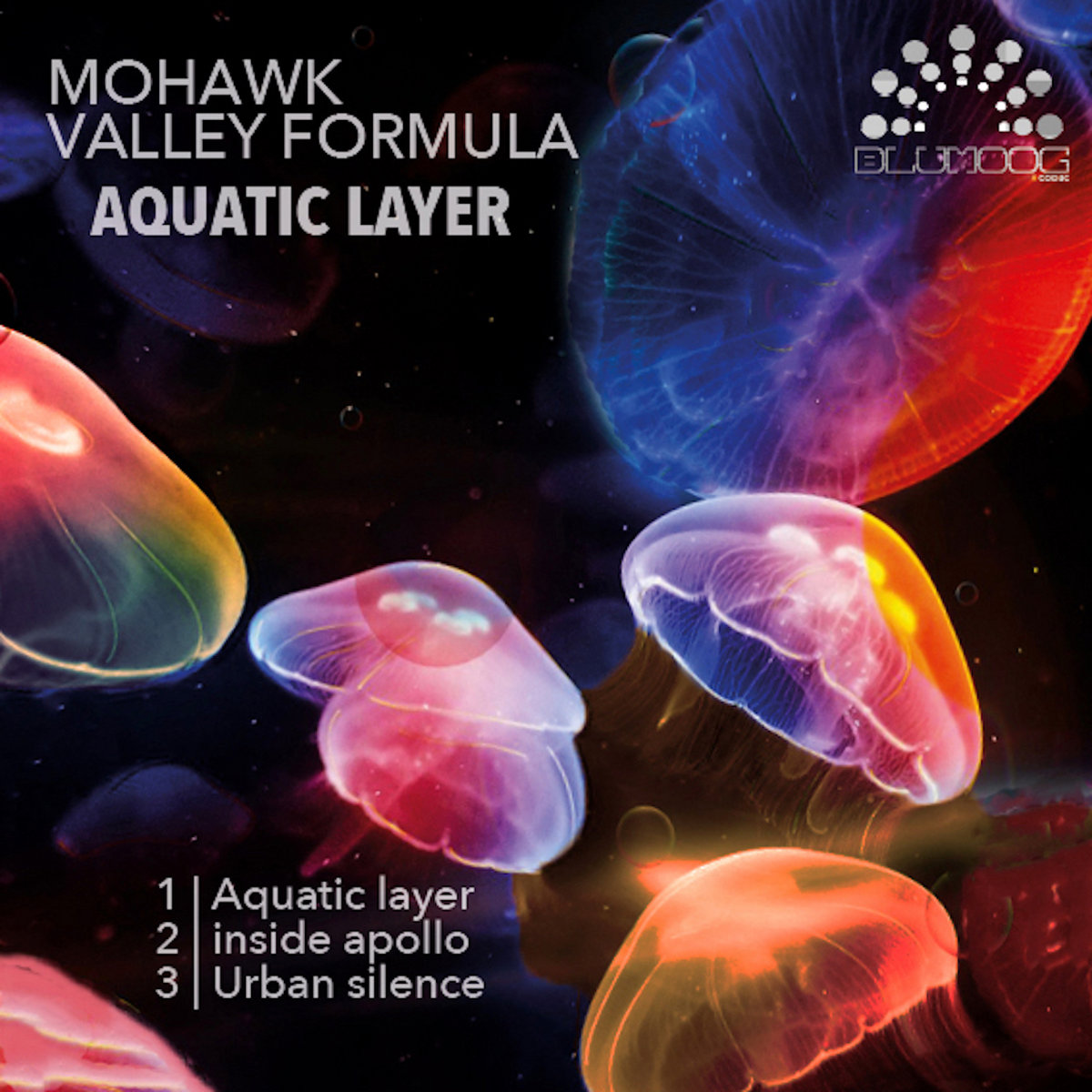 Aquatic layer | MOHAWK VALLEY FORMULA | Blumoog Music