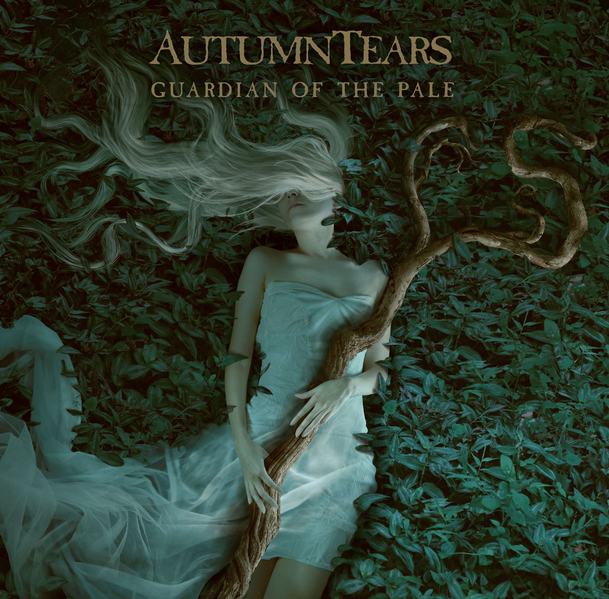 Guardian of the Pale | Autumn Tears