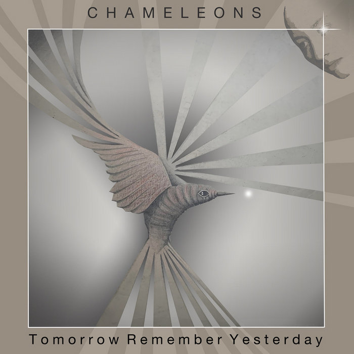 Tomorrow Remember Yesterday | Chameleons | Chameleons UK