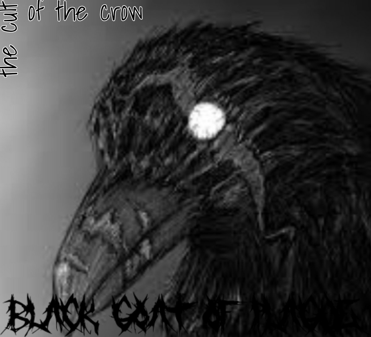 The Cult Of The Crow | Black Goat of Plague