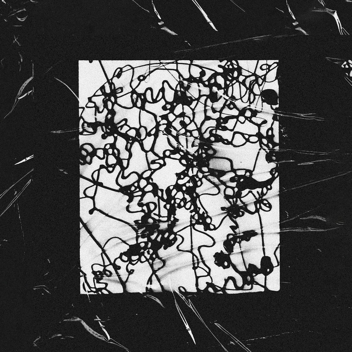 Marmite | Lyndon Lewis