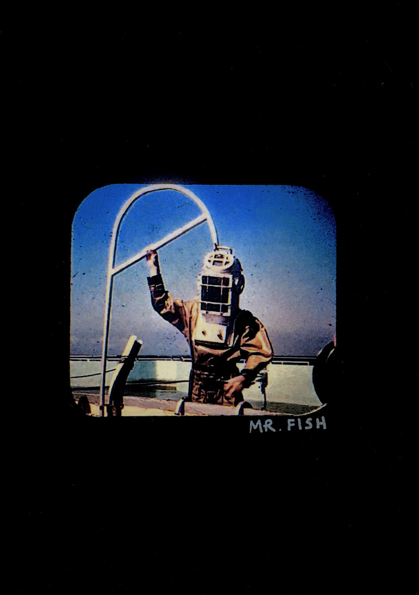 Mr. Fish (Single) | Toeheads | Remove Records