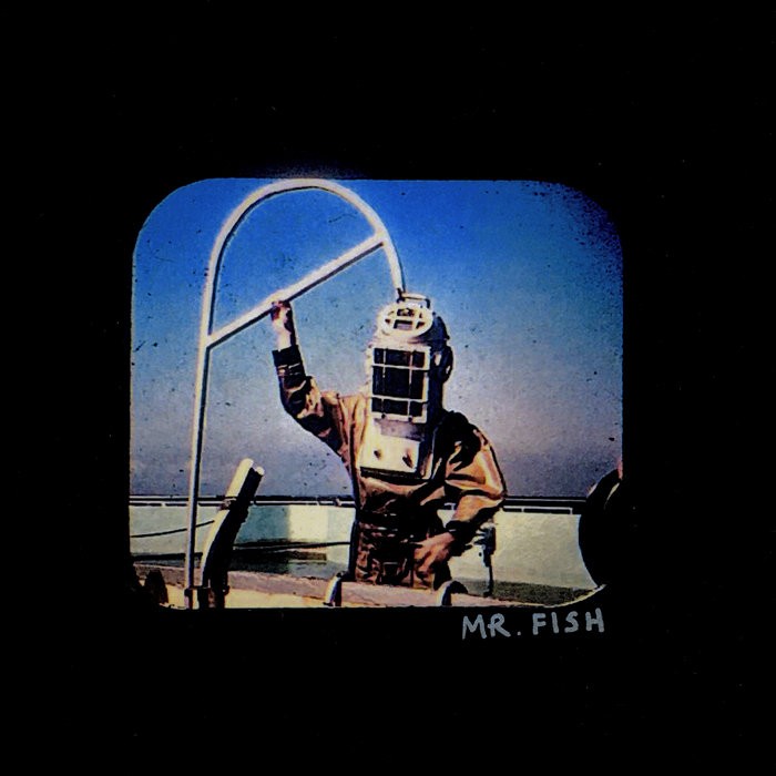 Mr. Fish (Single) | Toeheads | Remove Records