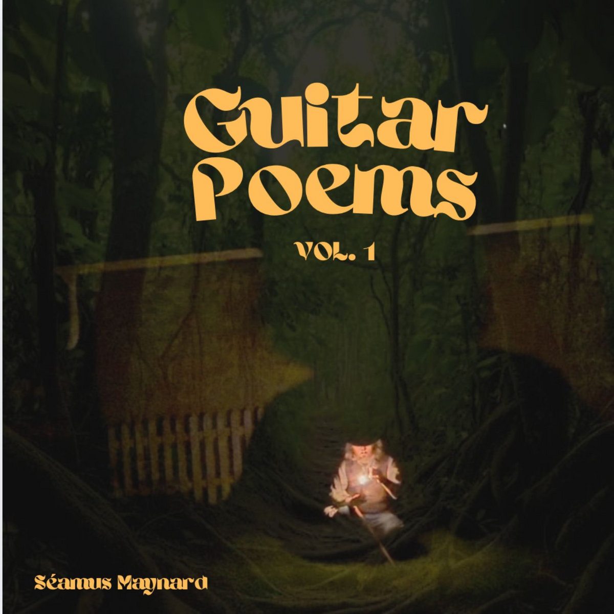 Guitar Poems Vol.1 | Séamus Maynard