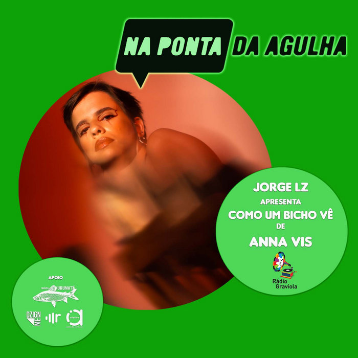 NA PONTA DA AGULHA #234 - Como um bicho vê - Anna Vis | NA PONTA DA AGULHA