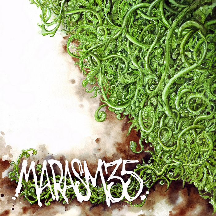 Marasm 35 | various | marasm label