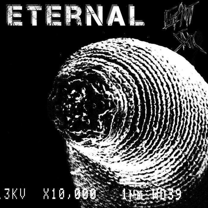 Eternal | Errant Static