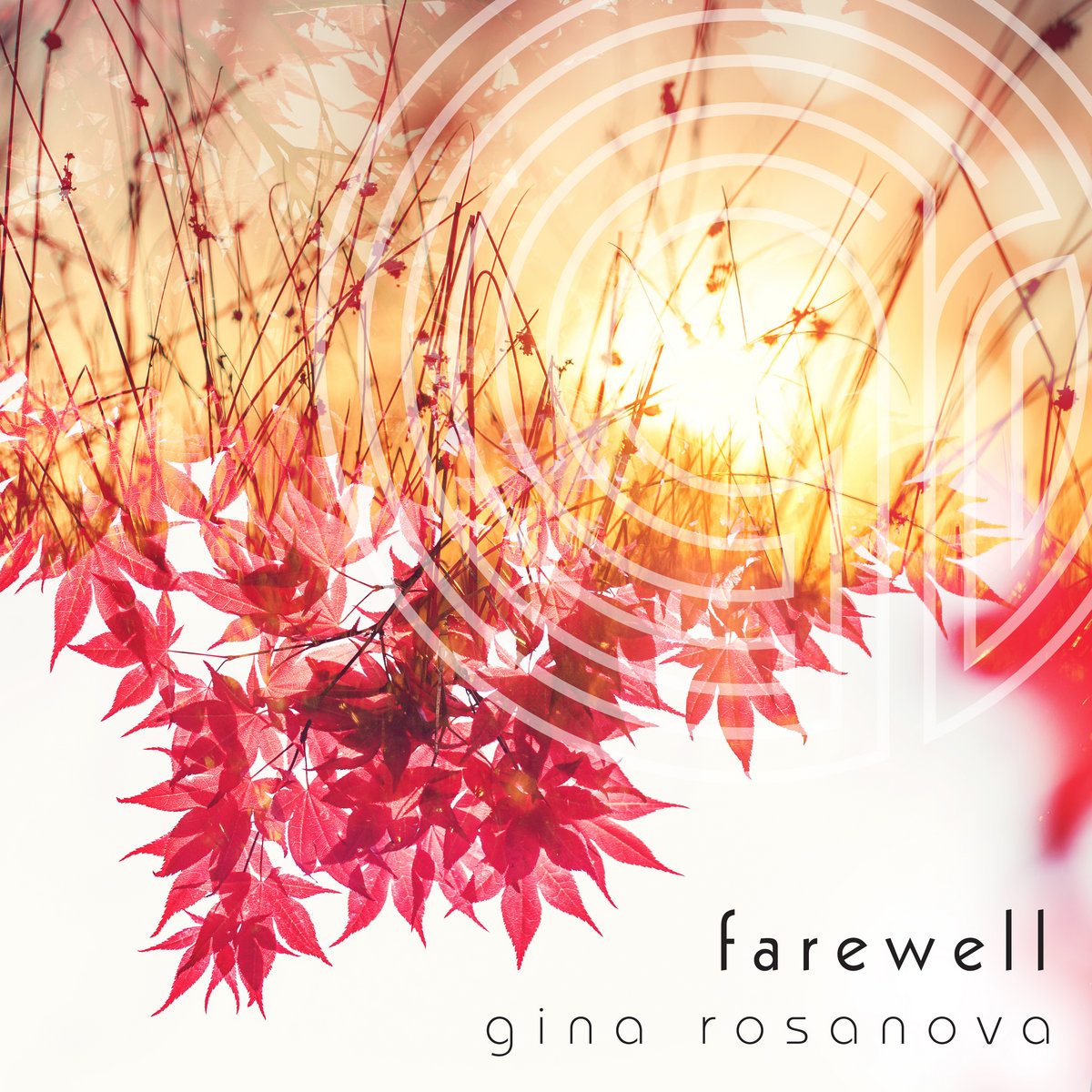 Farewell | Gina Rosanova