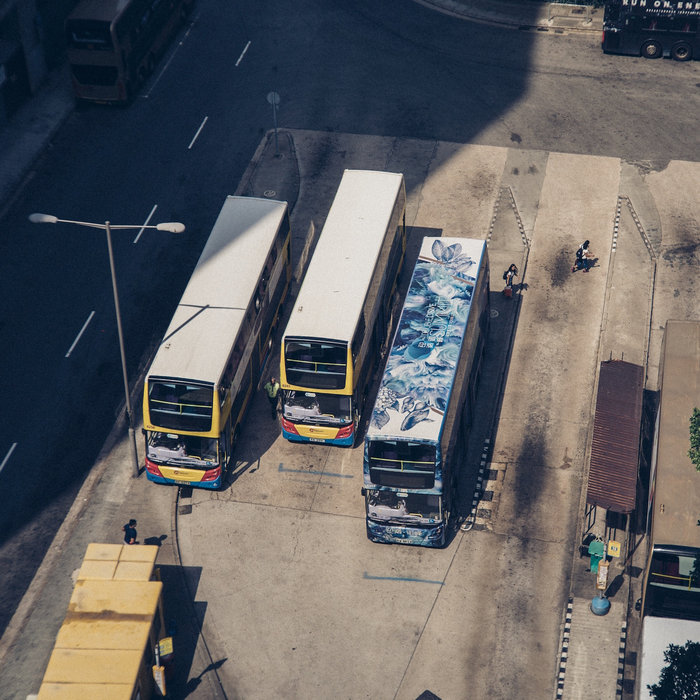 Ya Amar | Mees Salomé | Green