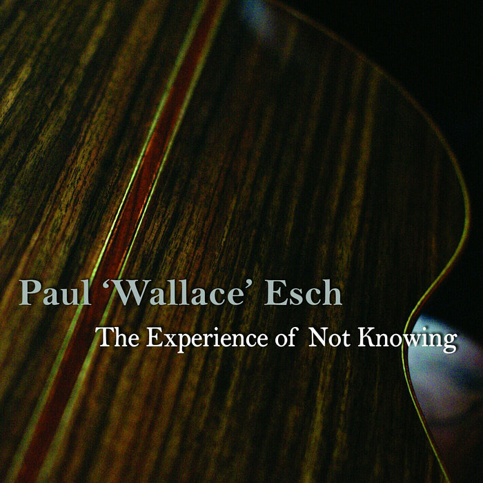 The Experience of Not Knowing, 24 bit Hi-Fi 96k | Paul Wallace Esch