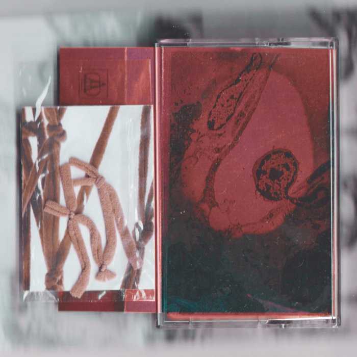 In Vivo | deaf anthropologist