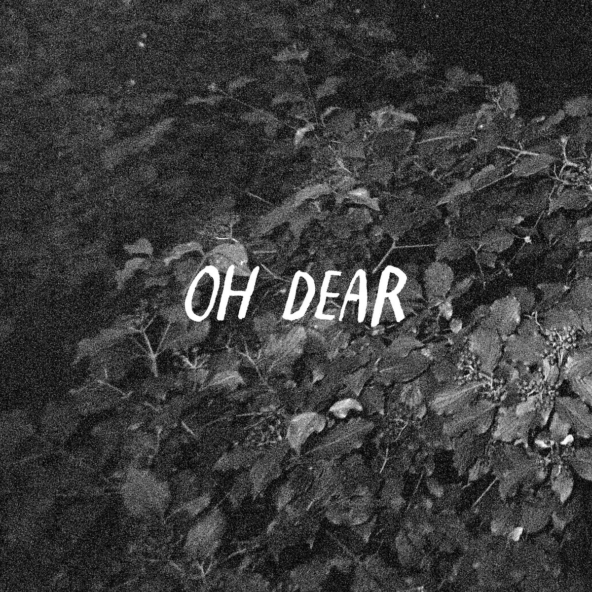 Oh Dear | Weird Siblings