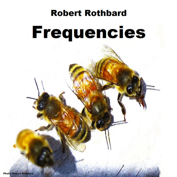 Frequencies | Robert Rothbard