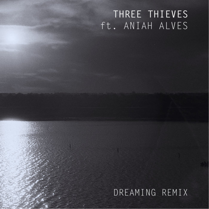 Dreaming Remix ft. Aniah Alves | Three Thieves
