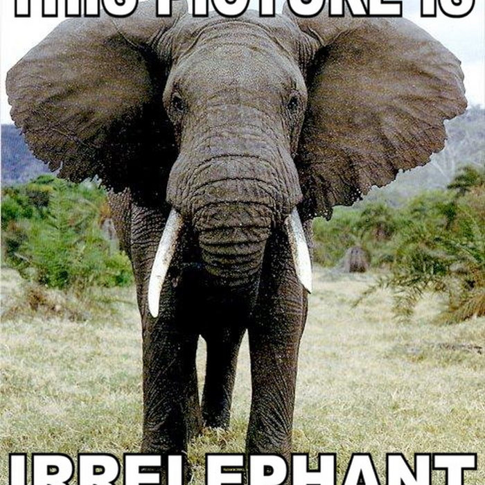 test album | test_artist_1823918239