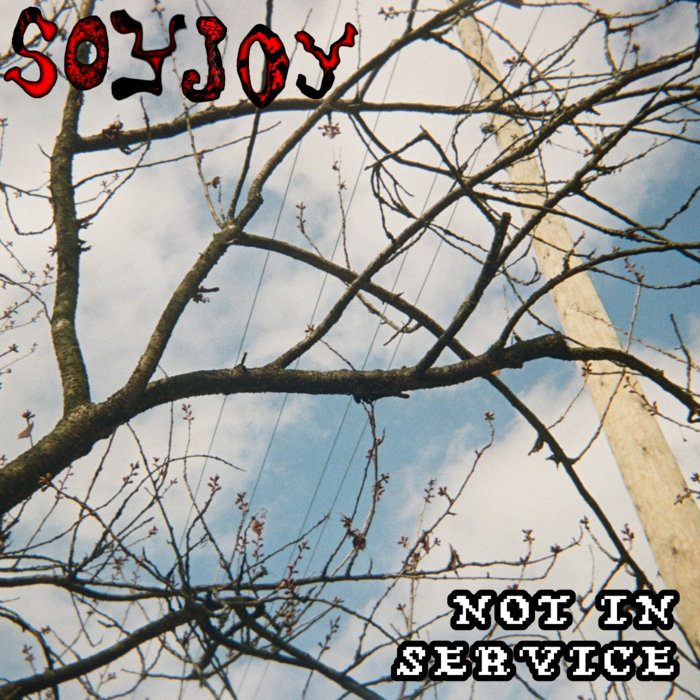 not in service | SoyJoy