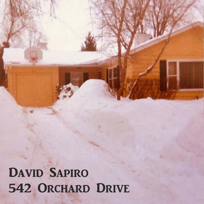 Timothy Wayne | David Sapiro