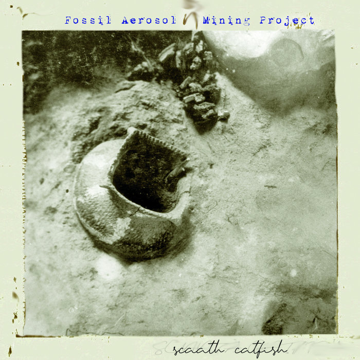 Scaath Catfish | Fossil Aerosol Mining Project