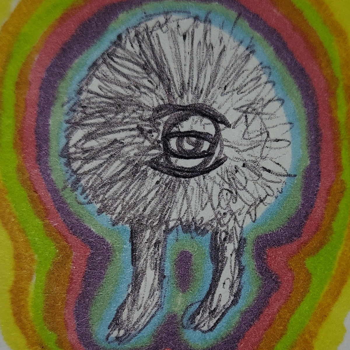 SPAGHETTI PLUS | NANCY GORE