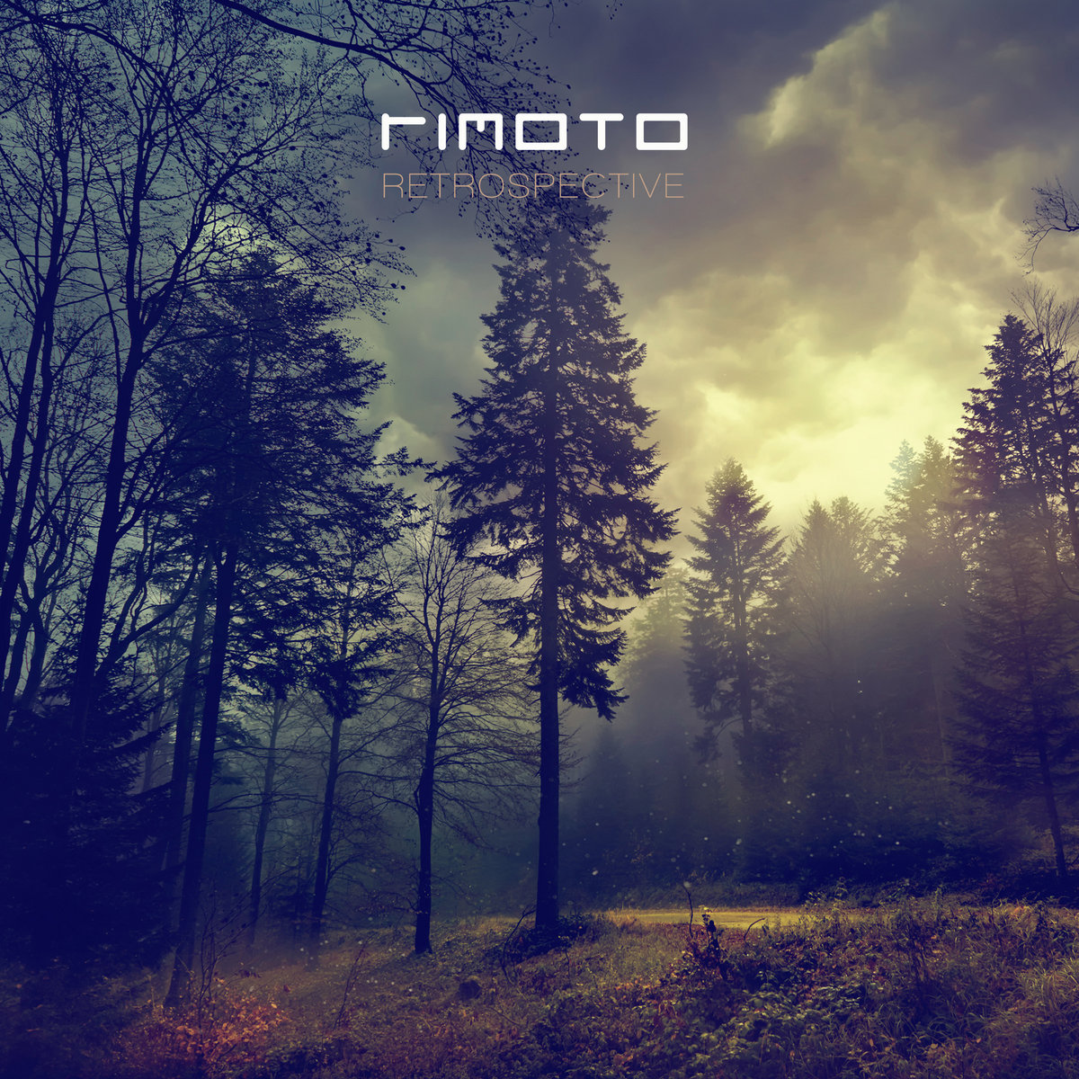 Retrospective | Rimoto | Peter Ries