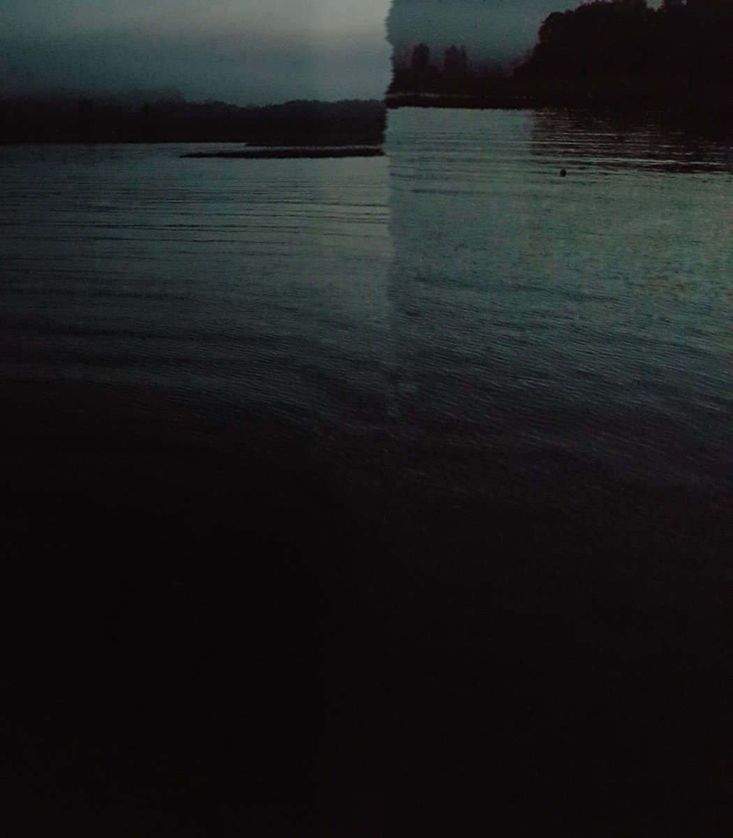 FREQUENCY | Julien H Mulder