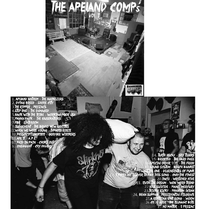 The Apeland Comps Vol. 1 | Various Artists | A.P.E.