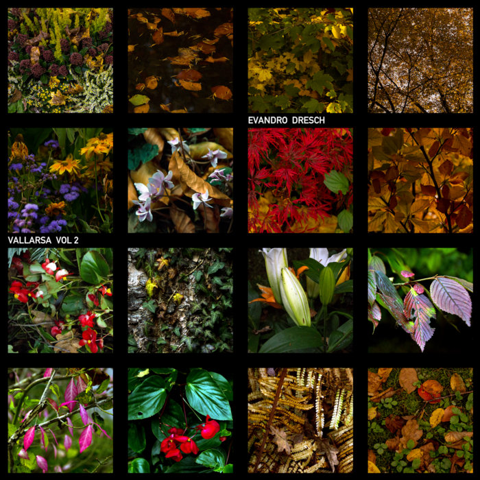 Vallarsa, Vol. 2 | Evandro Dresch