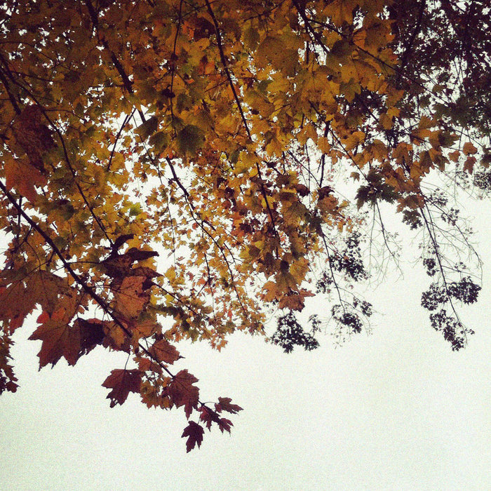 Awake | Still.Floating