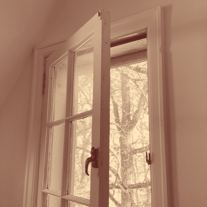 Window Faces South | Titch Thomas