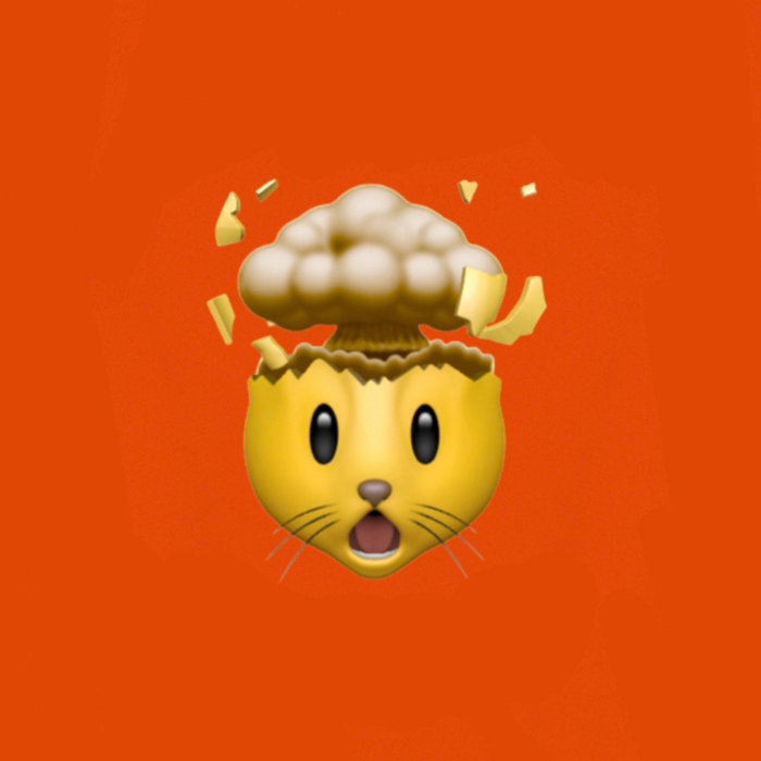 LIFE OF CAT. | AMADEUS FEELZ