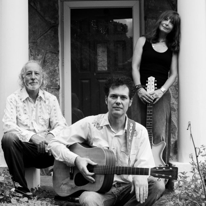 Crazy From the Heart (single) | David Bavas and Willow Scrivner