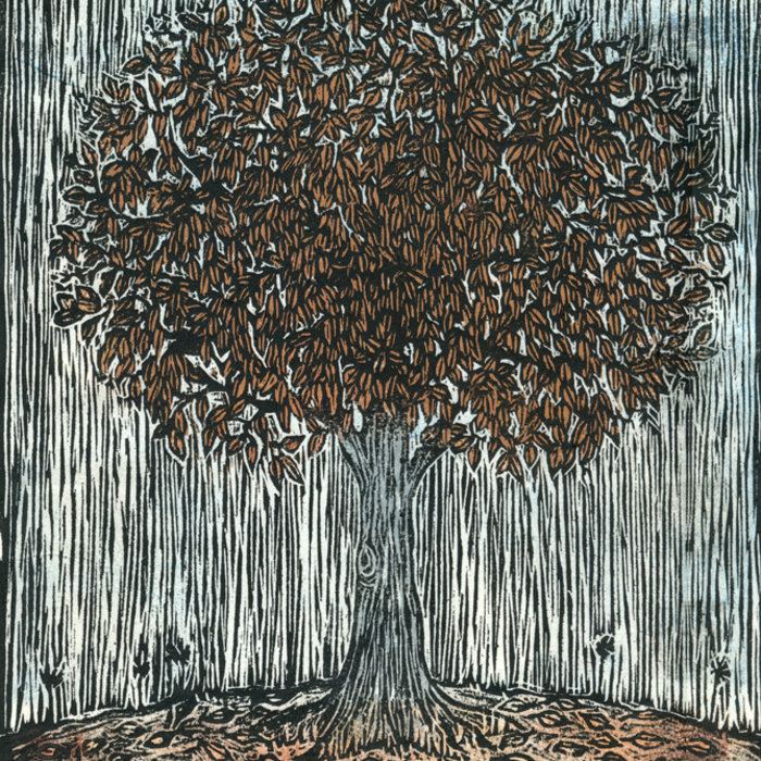 If I Can See You Tonight | Dave Smallen