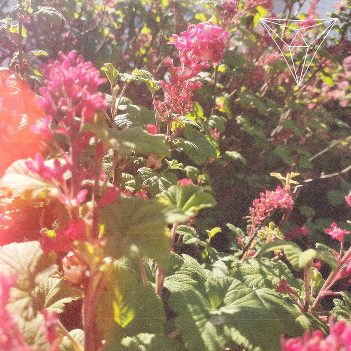 Humanity | Paul Roux | Apex Faction