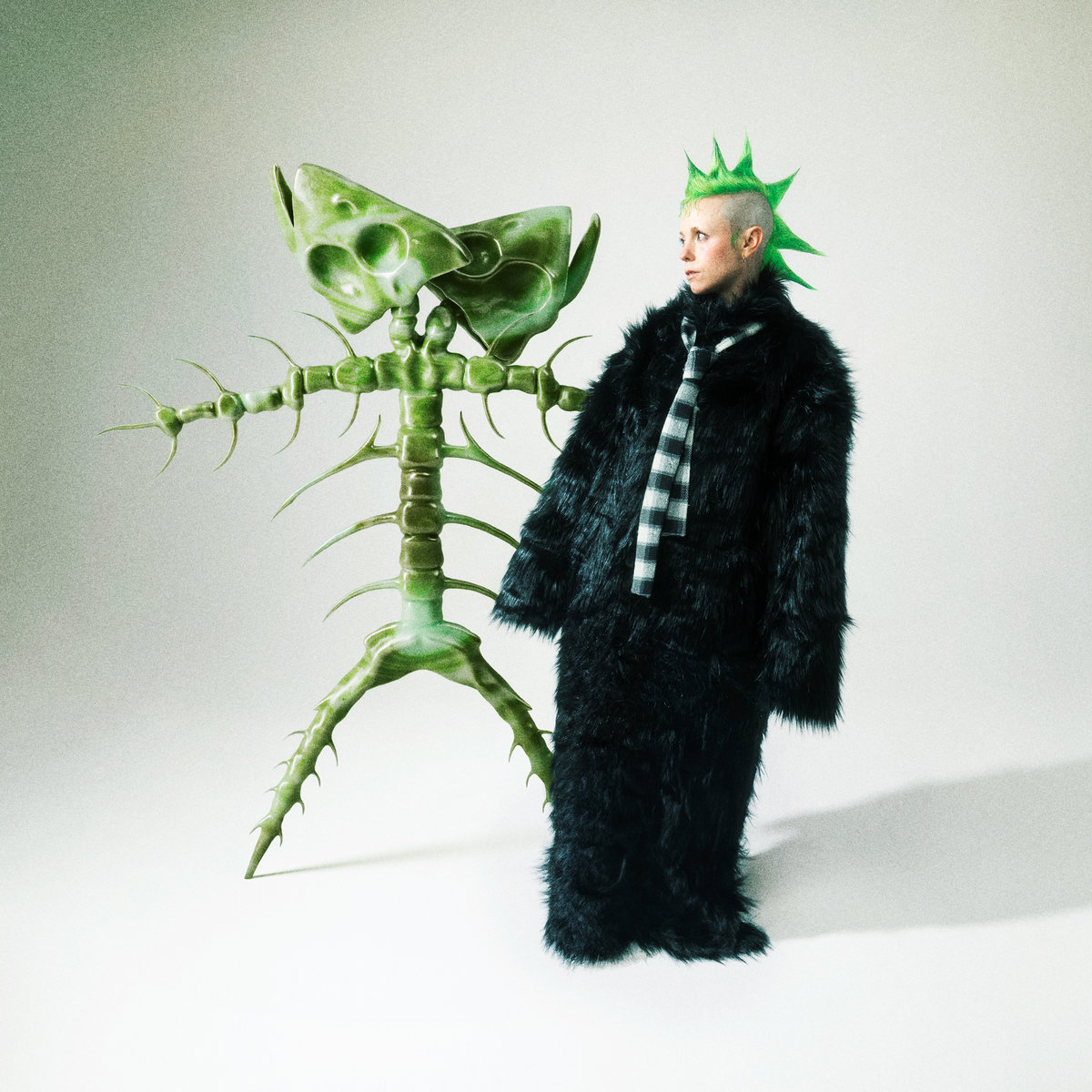 Biiig Stretch | CATNAPP