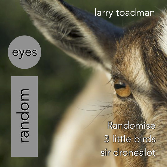 random eyes | Larry Toadman