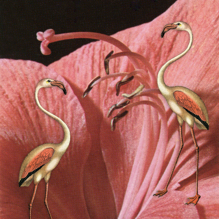 Rivella | Maria Whoat