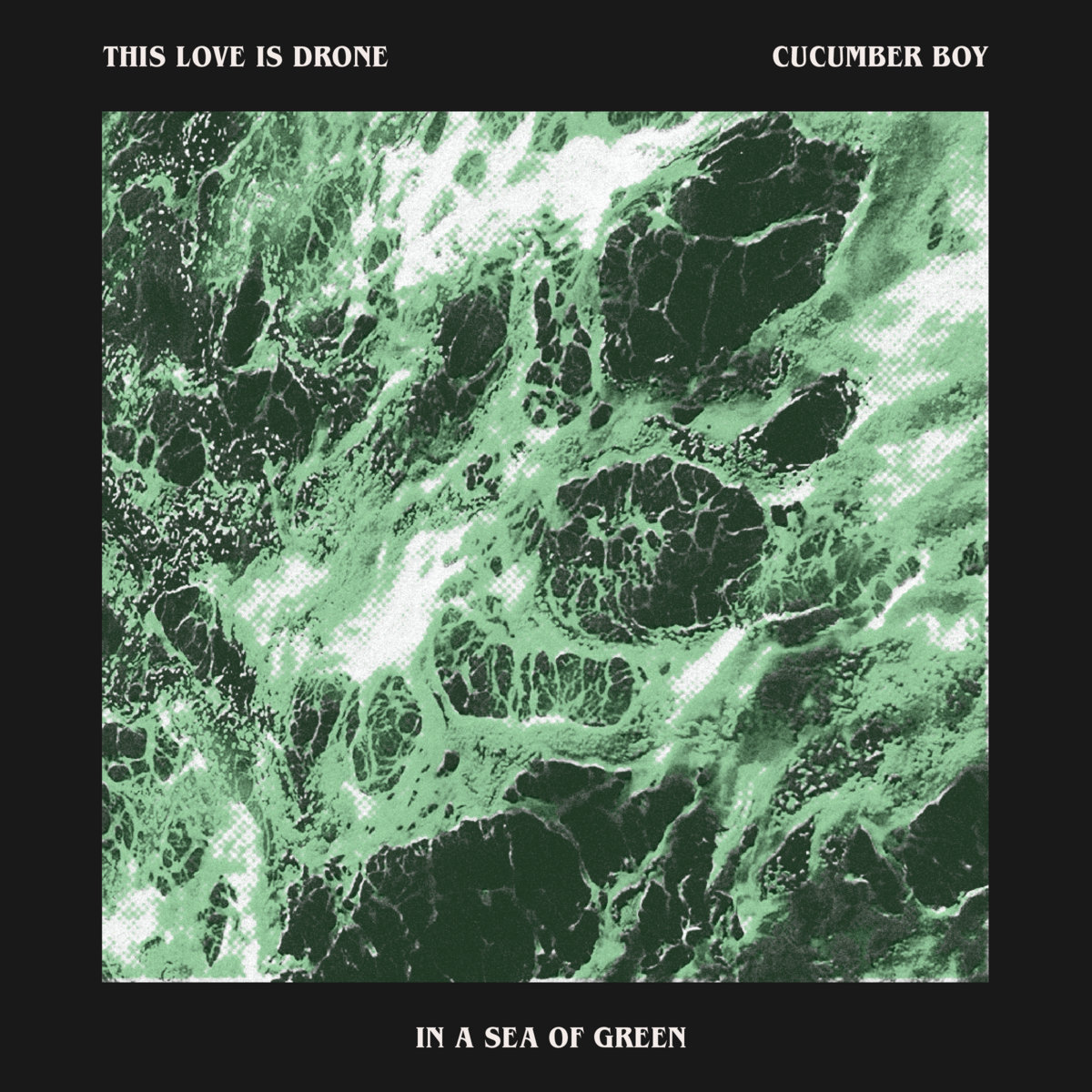 In A Sea Of Green (Feat. Cucumber Boy) | This Love Is Drone
