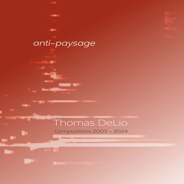 anti-paysage | Thomas DeLio