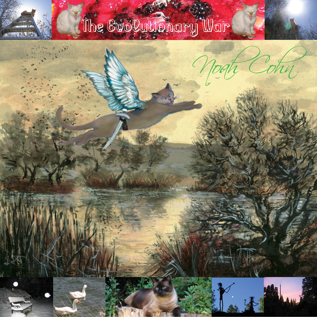 The Evolutionary War | Noah Cohn