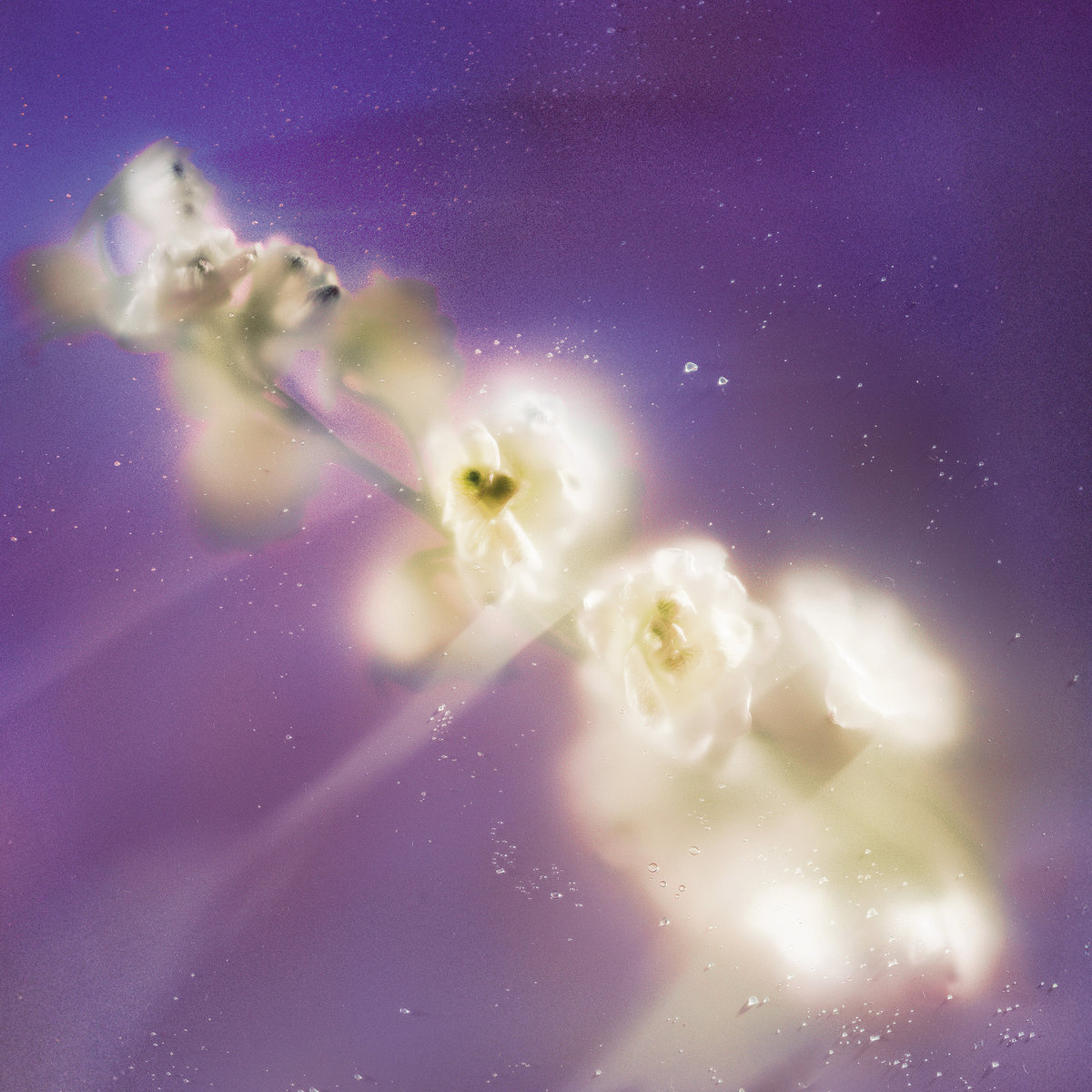 My Light, My Massage Parlor (Parlor Version) | Cassandra Jenkins