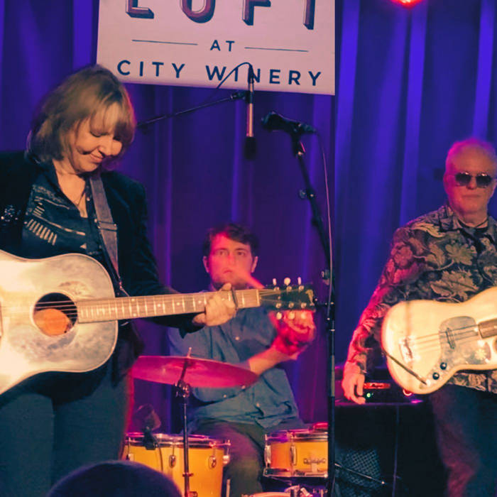 Hang In There With Me live in NYC | Amy Rigby