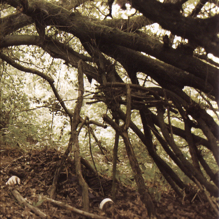 Under Bent Limb Trees | Hush Arbors