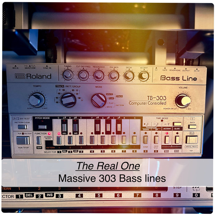The Real One Series : Massive 303 Bass Lines (Sample Library) | The ...