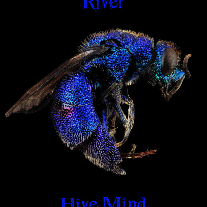 Hive Mind | River