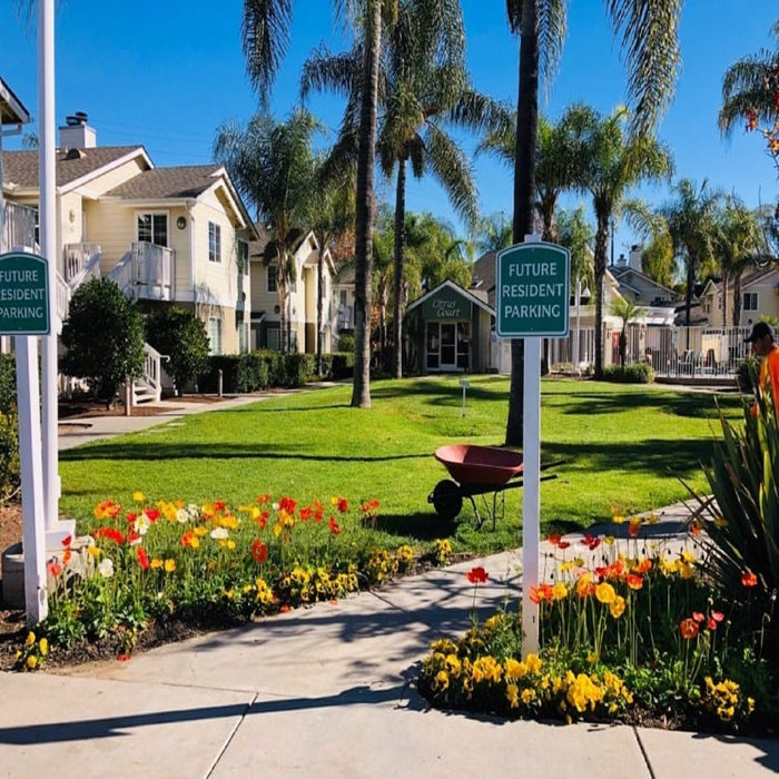 True Lawn Care Inc | True Lawn Care Inc