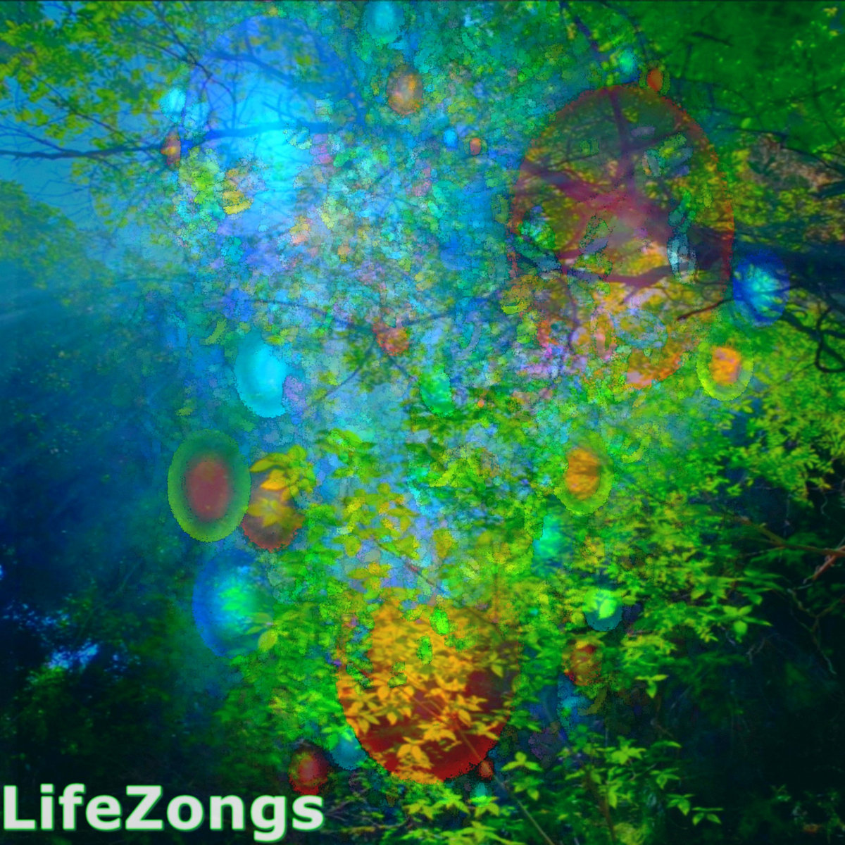 LifeZongs | Alex Tseng