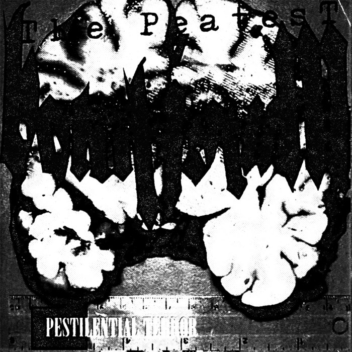 Pestilential Terror | botulistum